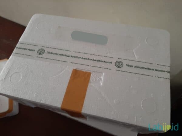 What You Need to Know about Phytosanitary Certificate – Labijo.id